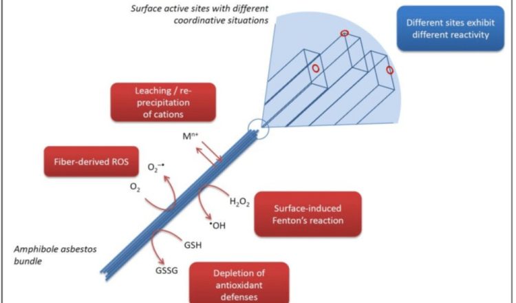 THEORIES OF MASS TRANSFER – Chemical Engineering